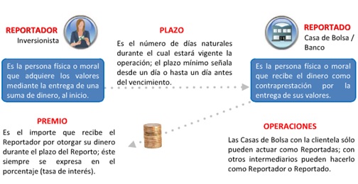 stunicholls.com - jQuery Slideshow for variable sized information panels