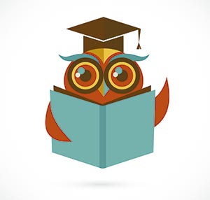 BookBlock: A Content Flip Plugin - Demo 1